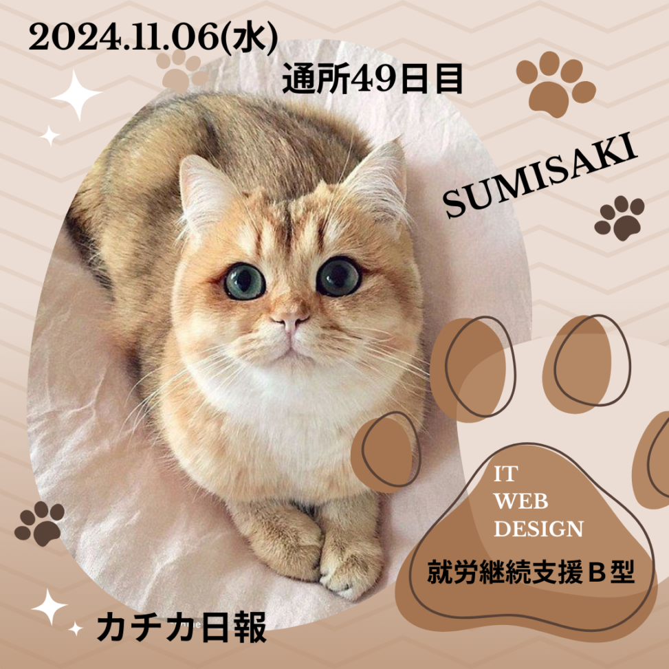 sumisaki 2024.11.06 通所49日目 – 【障がい者在宅支援】静岡市のIT × 福祉 ワンルーム型グループホーム・就労継続支援B型